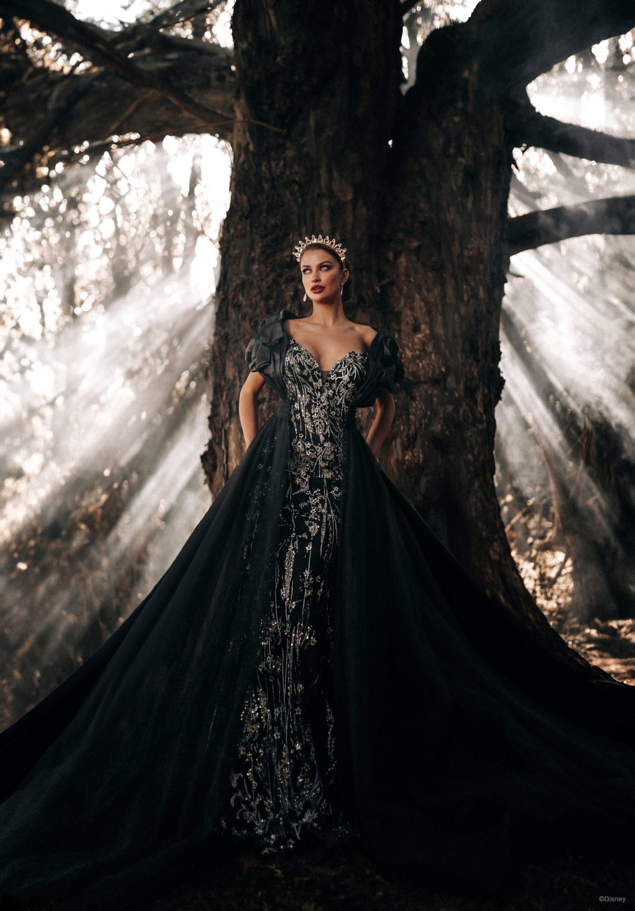 Disney Villain Wedding Dress Collection